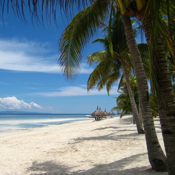 Samahang Pisika ng Pilipinas – Website of the Samahang Pisika ng Pilipinas